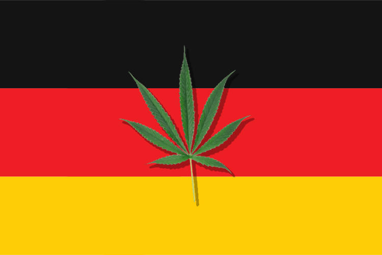Medical perspectives on cannabis legalisation in Germany
